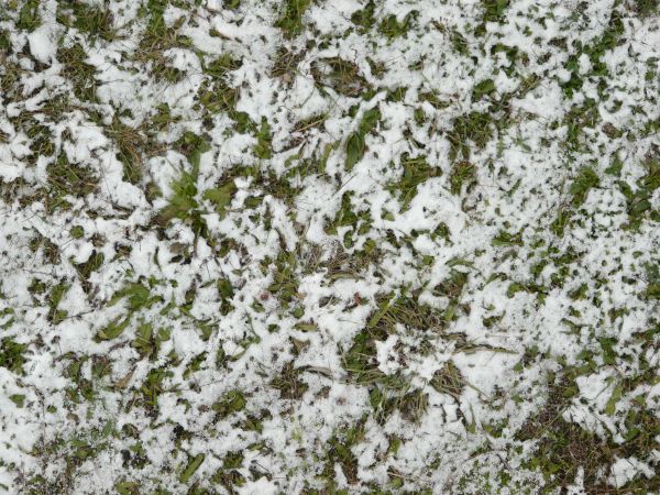 frozen ground texture 0012 - Texturelib